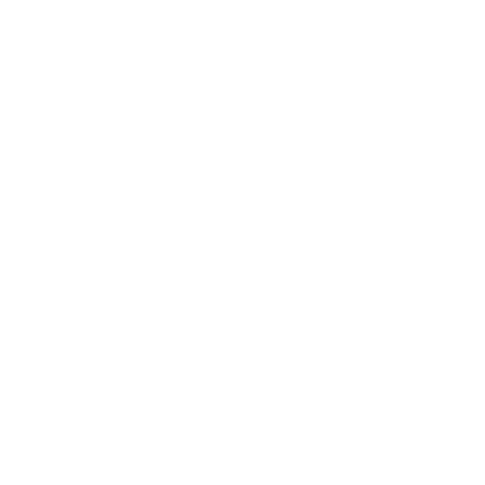 EcoStep Produkt | Meindl - Shoes For Actives